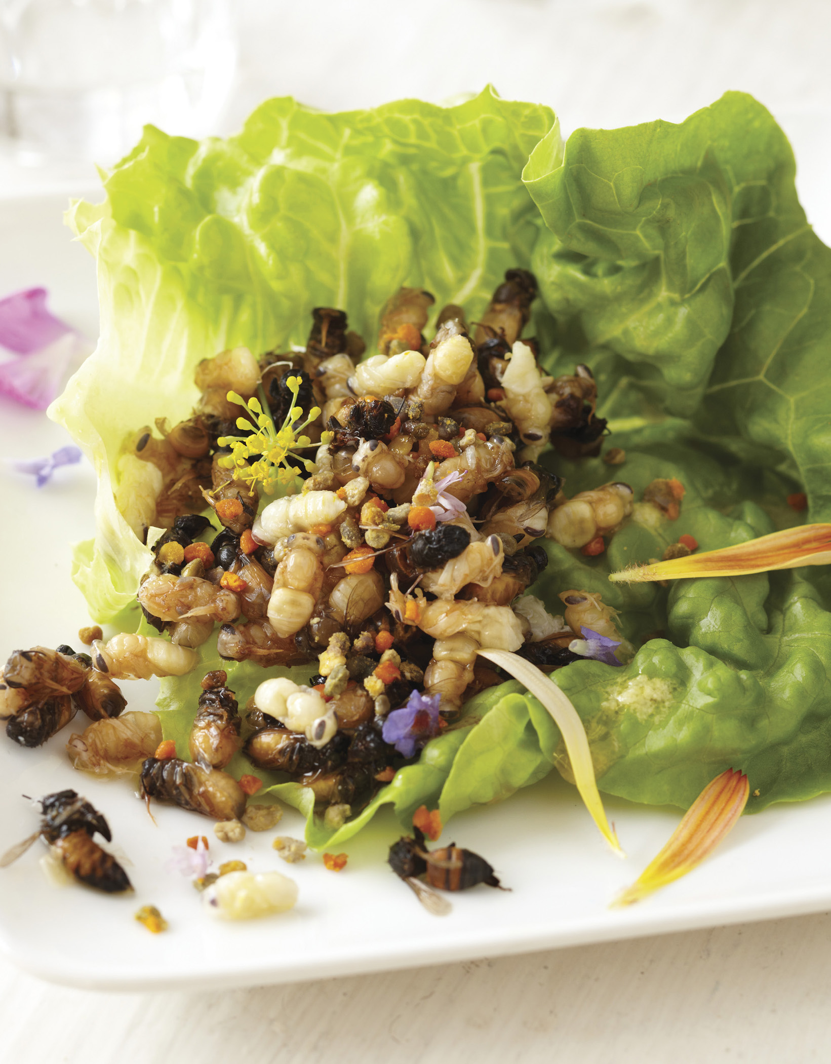 Three Insect Recipes to Help the Arthropods Go Down - Science Friday