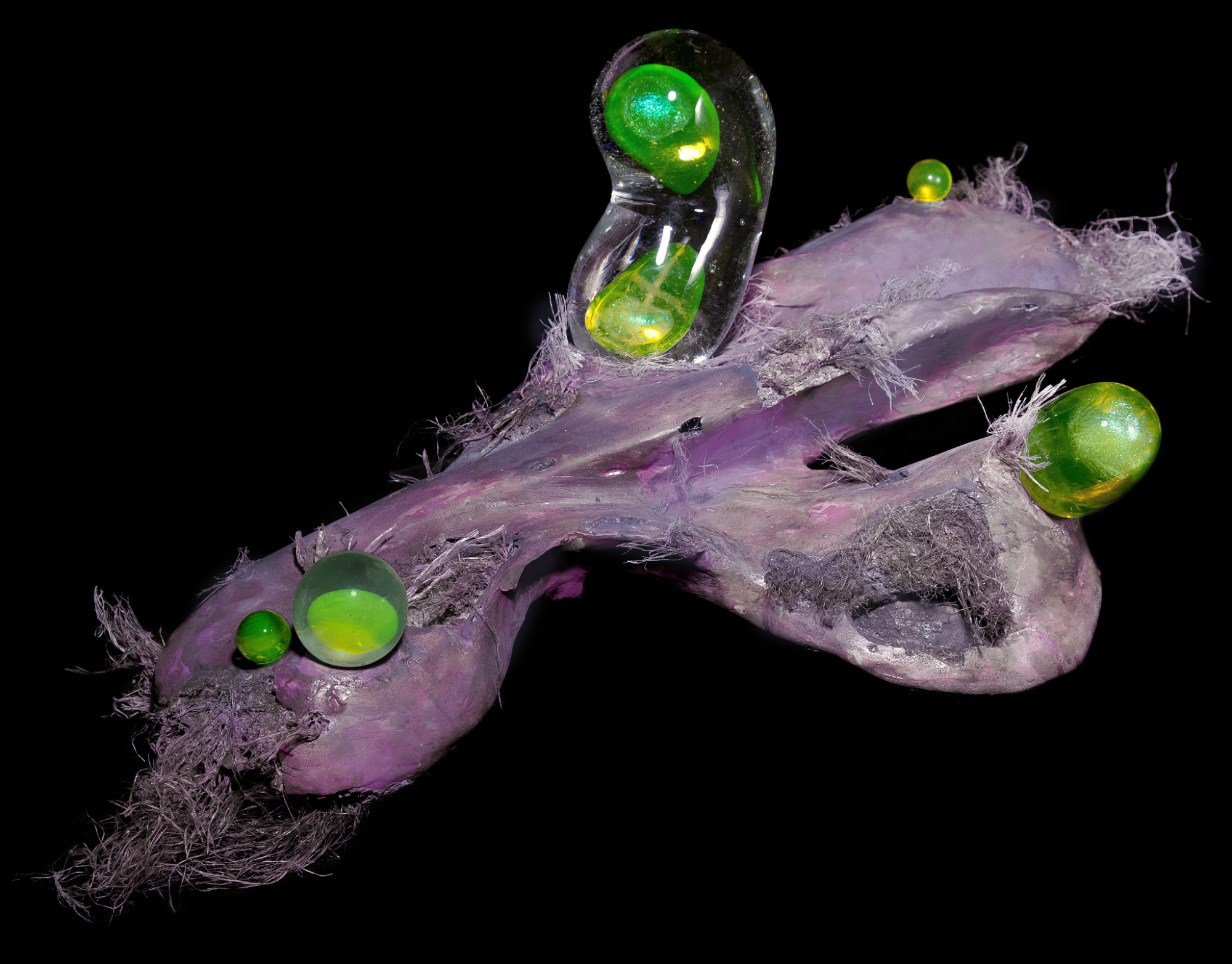 The Perils of Plankton - Science Friday