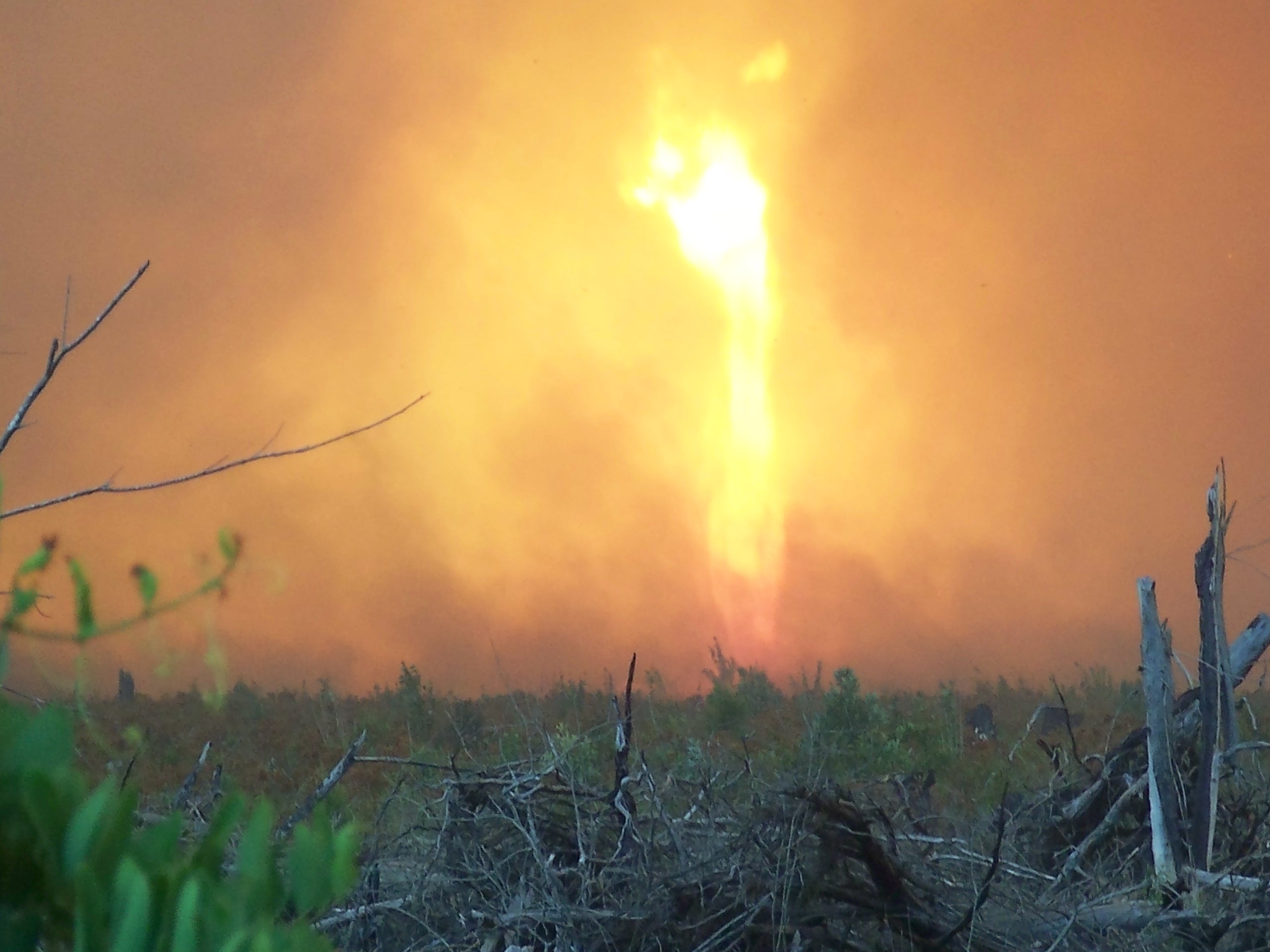 Here's What a Fire Whirl Looks Like - Science Friday