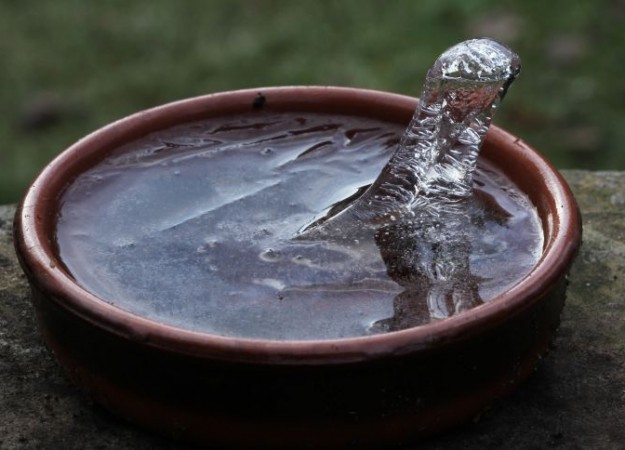 Sci Fri Science Club: Freeze Challenge - Science Friday