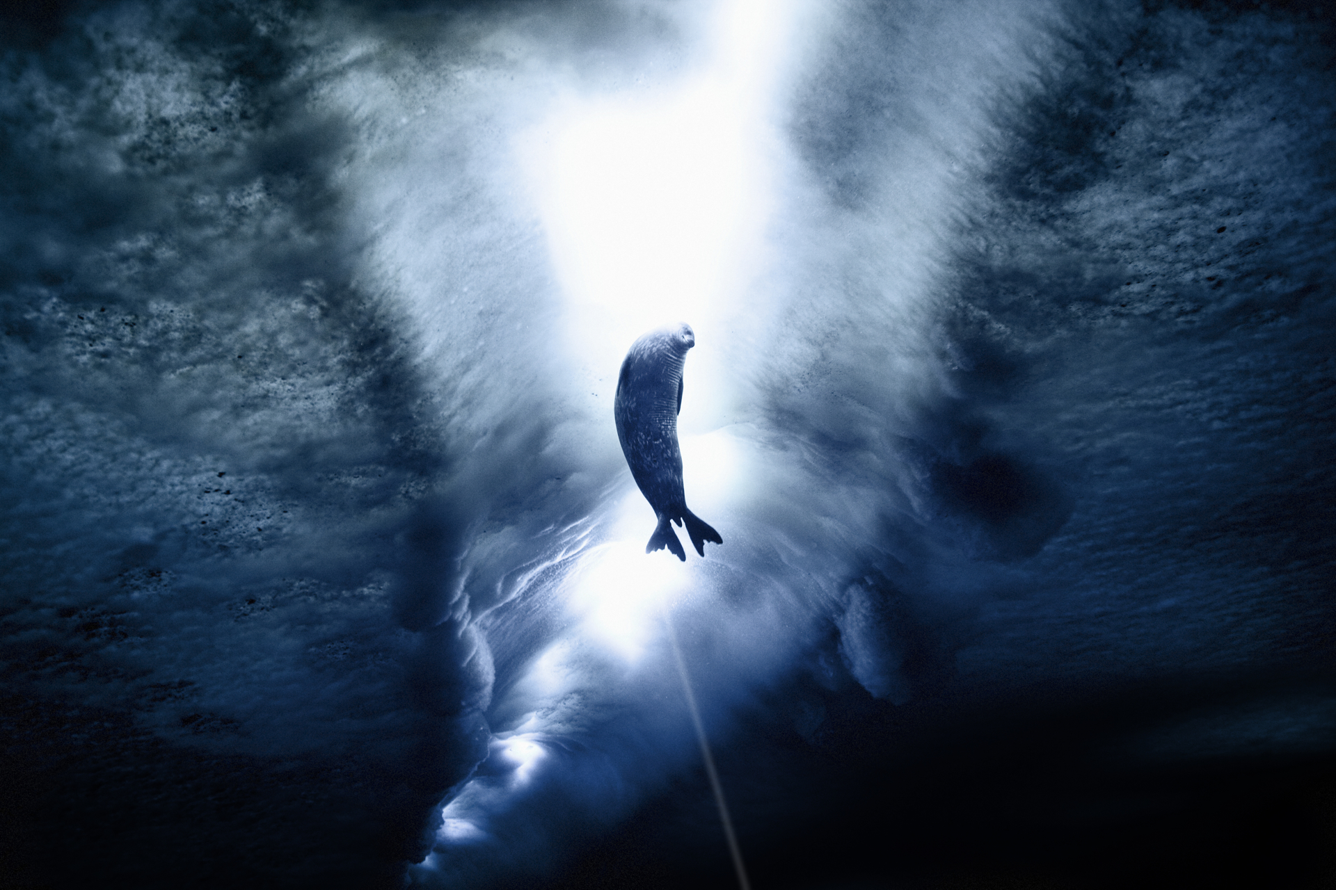 Meet John Weller, Our Winter Nature Photo Contest Judge - Science Friday