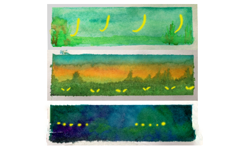 Learn To Speak The Language Of Fireflies