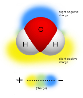 Salad Dressing Science: Emulsion Lab - Science Friday