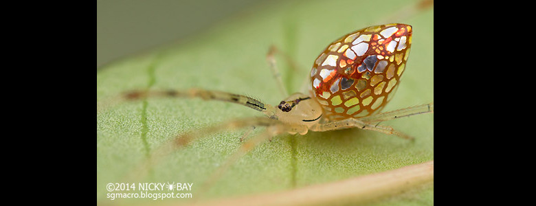 Mirror Spider Shines Like Disco Ball
