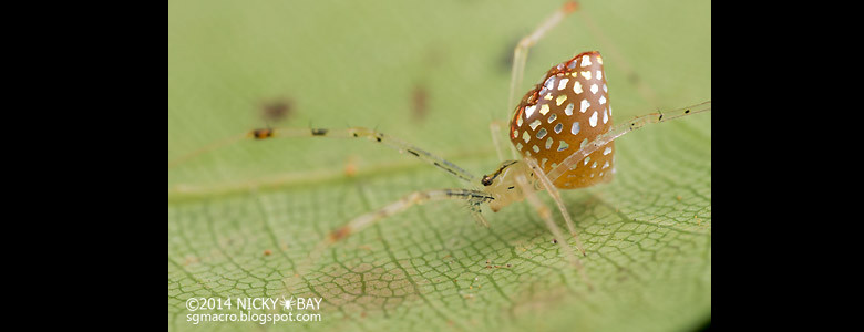 Mirror Spider Shines Like Disco Ball