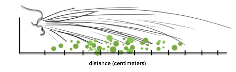 Snotty Plots: How Do You Graph A Sneeze?