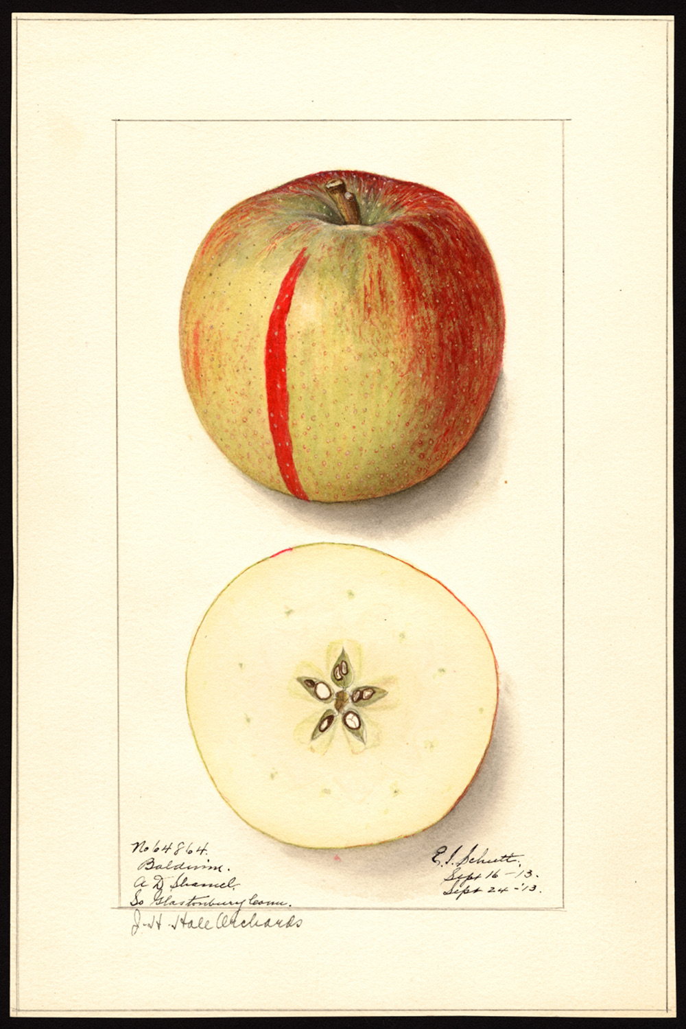 Apple Science, From American Beauty to Zestar - Science Friday