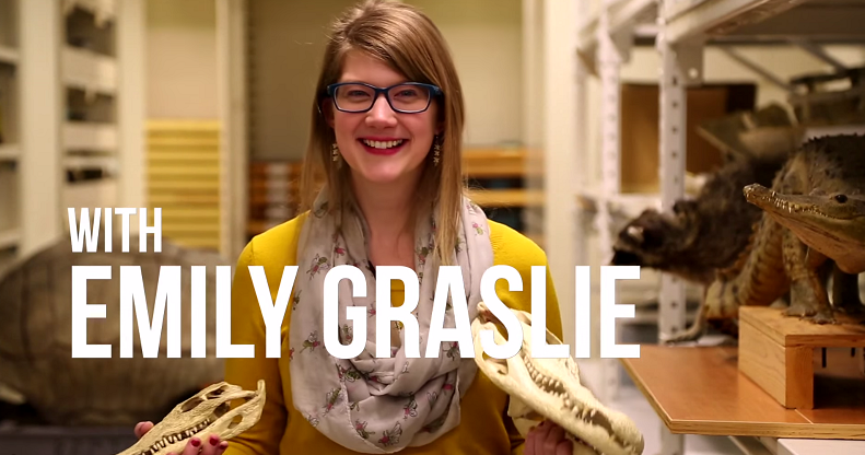 Qanda With Emily Graslie Science Friday