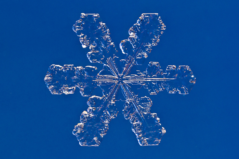 How To Collect, Preserve, And Make Snowflakes