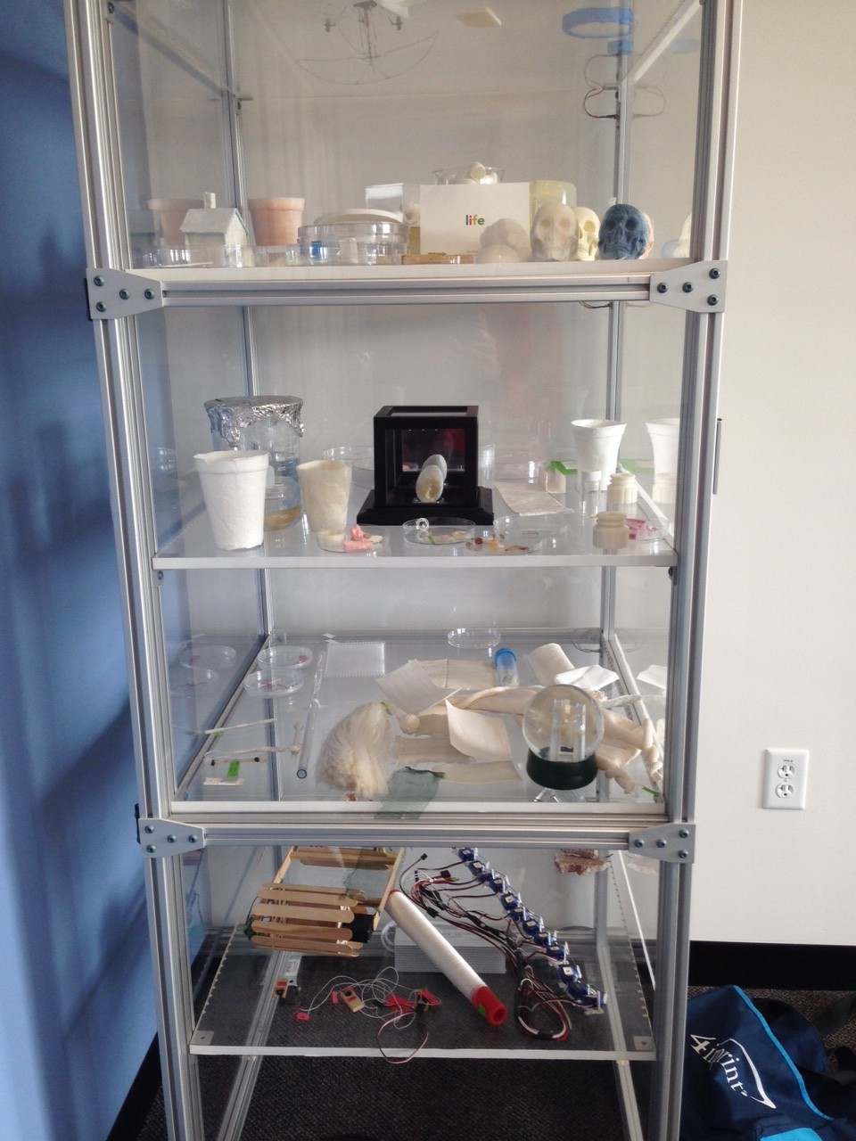 From Silk Worm Cocoon to Biotech Device