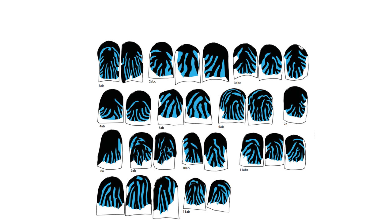 Getting a Grip on Finger Wrinkles - Science Friday