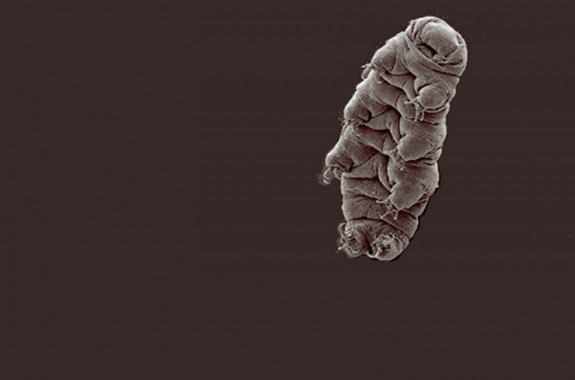 March 8, 2013 - Science Friday