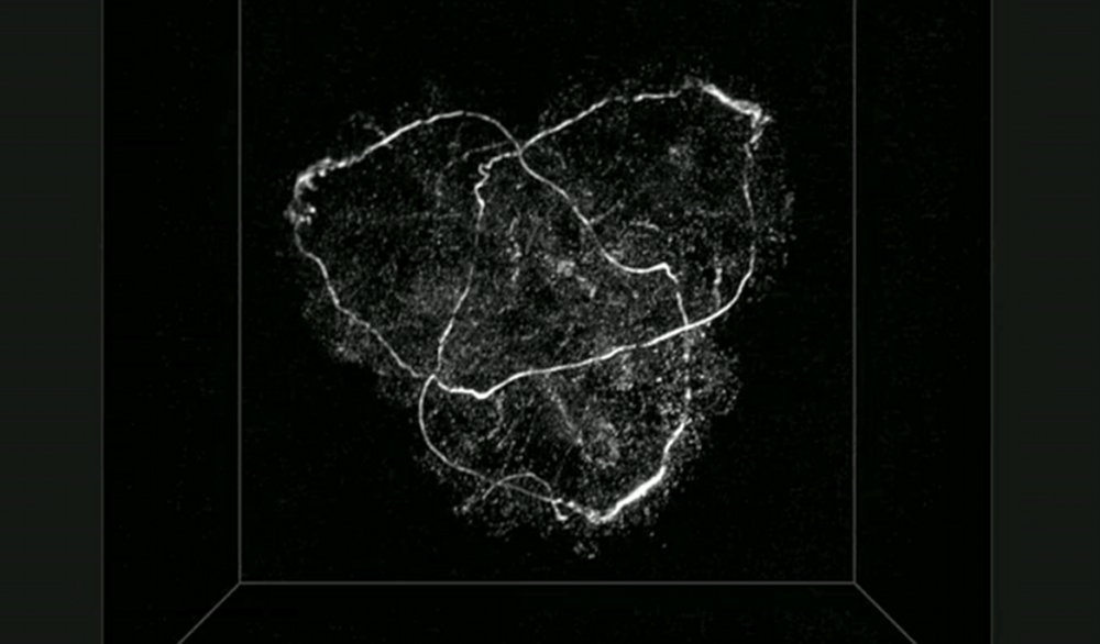 Physicists Tie Water Into Knots - Science Friday Physicists Tie Water Into Knots - Science Friday