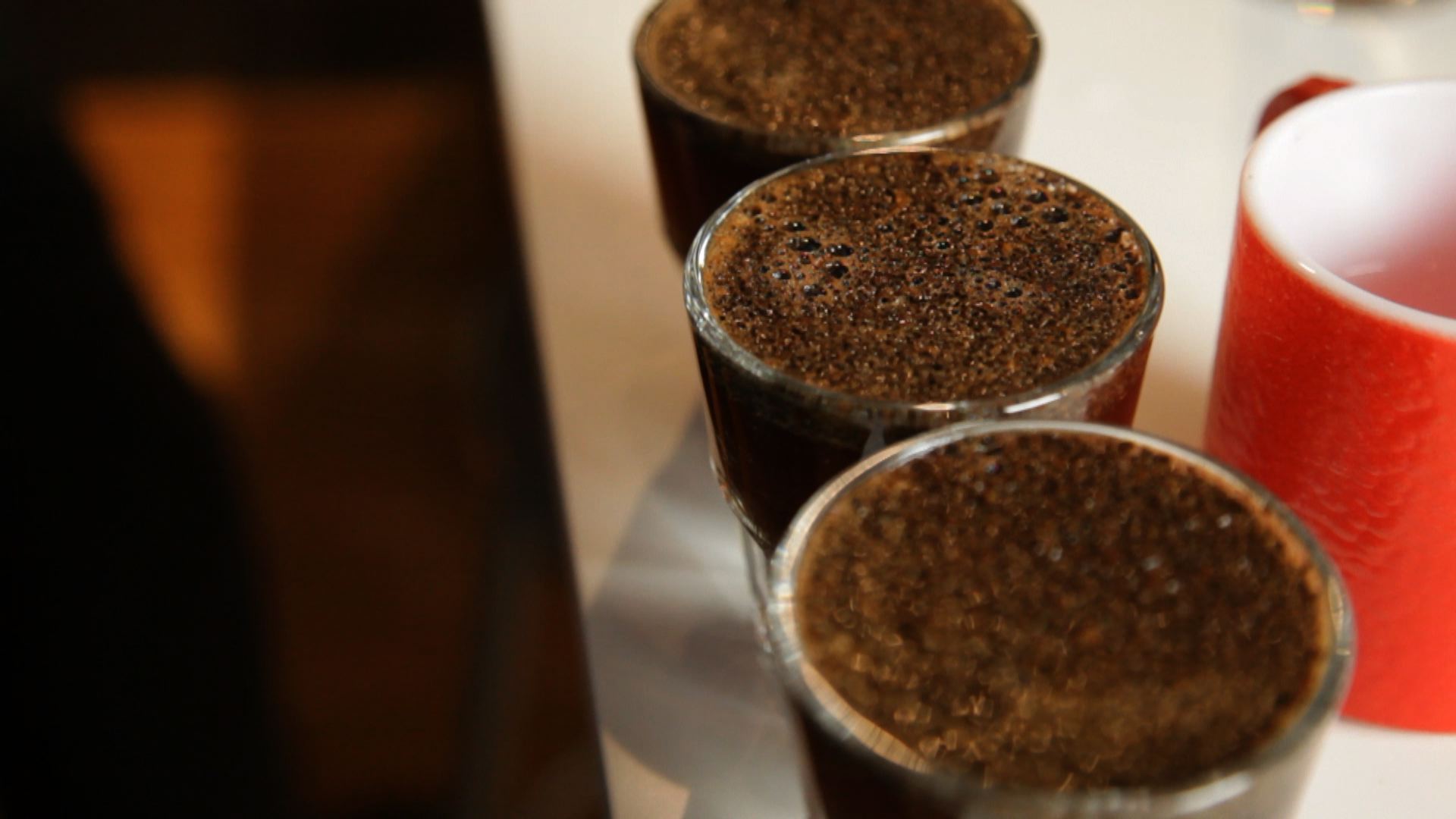 Concocting The Perfect Cup Of Coffee