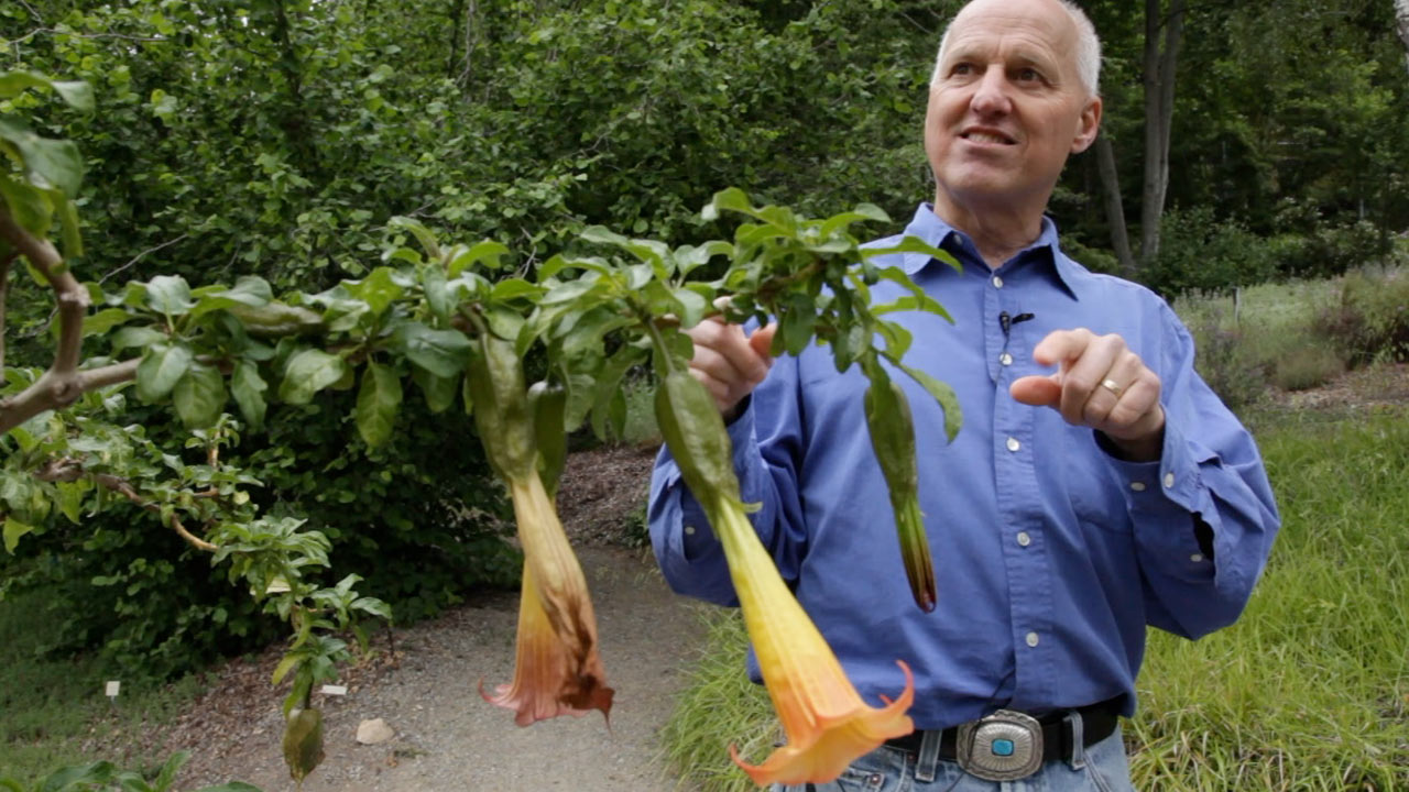 Teacher Feature: Ethnobotanist Tom Carlson - Science Friday