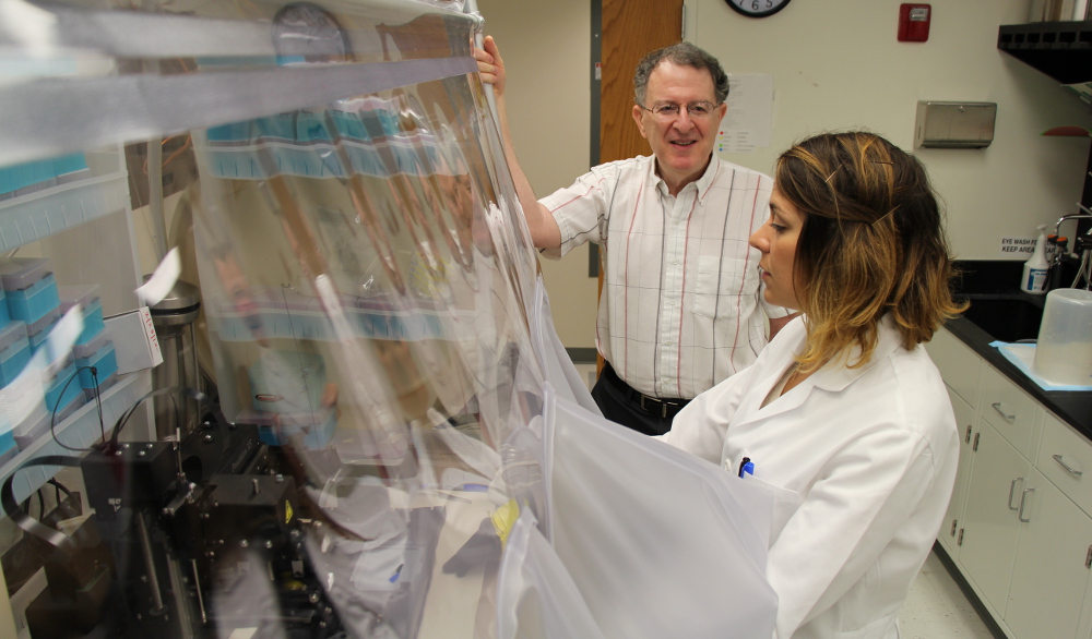 Do Your Gut Bacteria Influence Your Metabolism? - Science Friday
