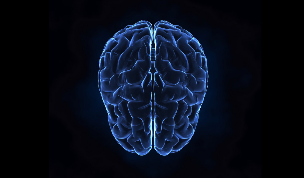 Uncovering the Brain of a Psychopath - Science Friday