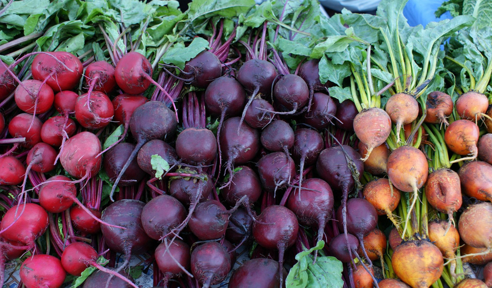 Eating 'Wilder' Foods for a Healthier Diet - Science Friday