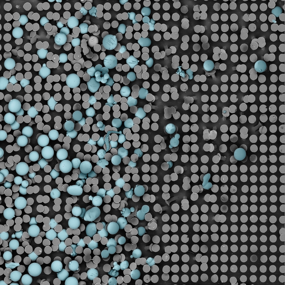 Picture of the Week: Gecko-Inspired Adhesive