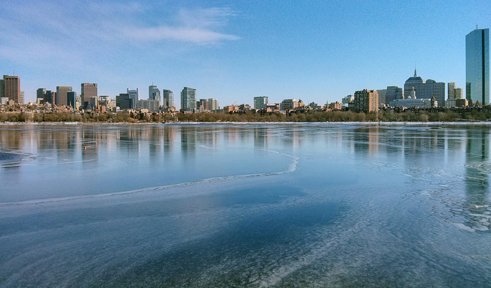Understanding the Urban Ecosystem - Science Friday