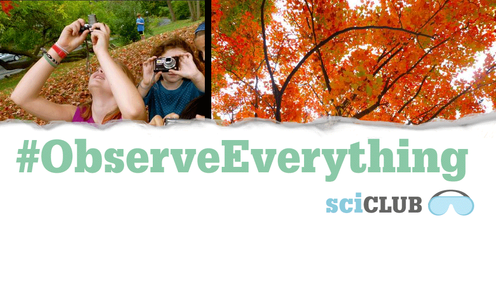 You Observed...Everything - Science Friday