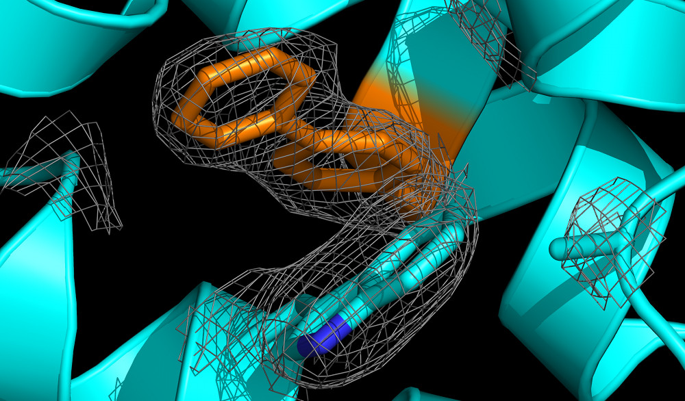 Scientists Engineer Bacteria With Genetic Kill Switch Science Friday
