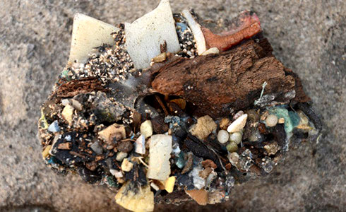 Picture of the Week: Plastiglomerate