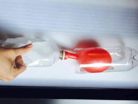 Jet Propulsion Locomotion Of Squid And Octopus