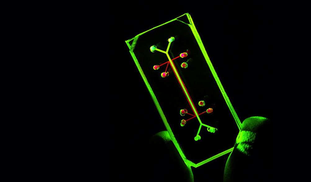 Building Organs, On One Microchip at a Time - Science Friday