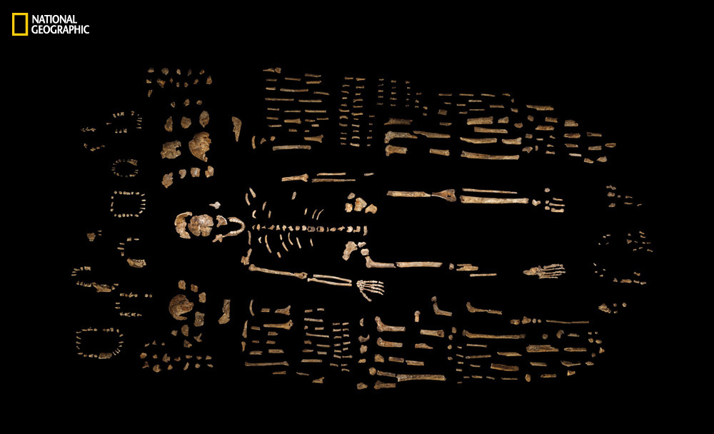 Meet Homo Naledi, Another Long-Lost Relative - Science Friday