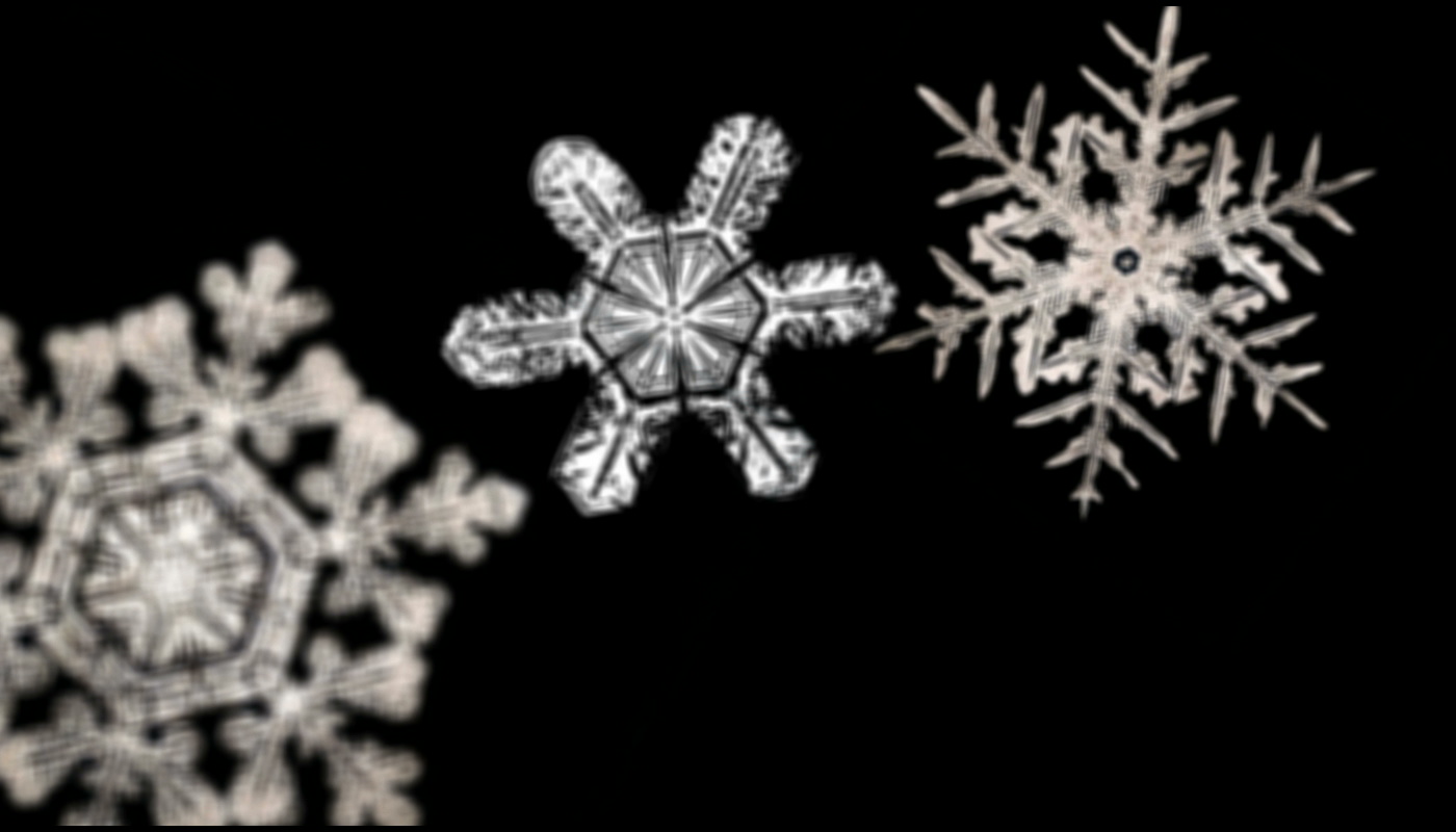 Holiday Science Science Friday holiday-science-science-friday