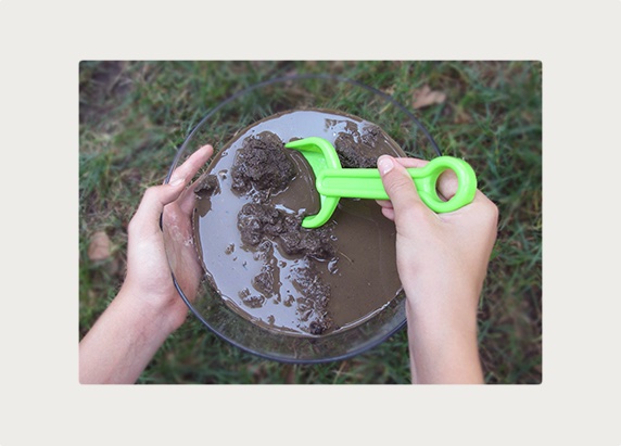 Celebrate World Science Day by Doing Science! - Science Friday