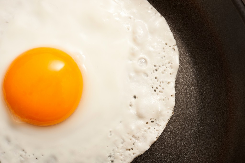 Incredible Eggs - Science Friday