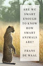 Are Humans Smarter Than Chimps Think Again Science Friday Are Humans Smarter Than Chimps Think Again Science Friday