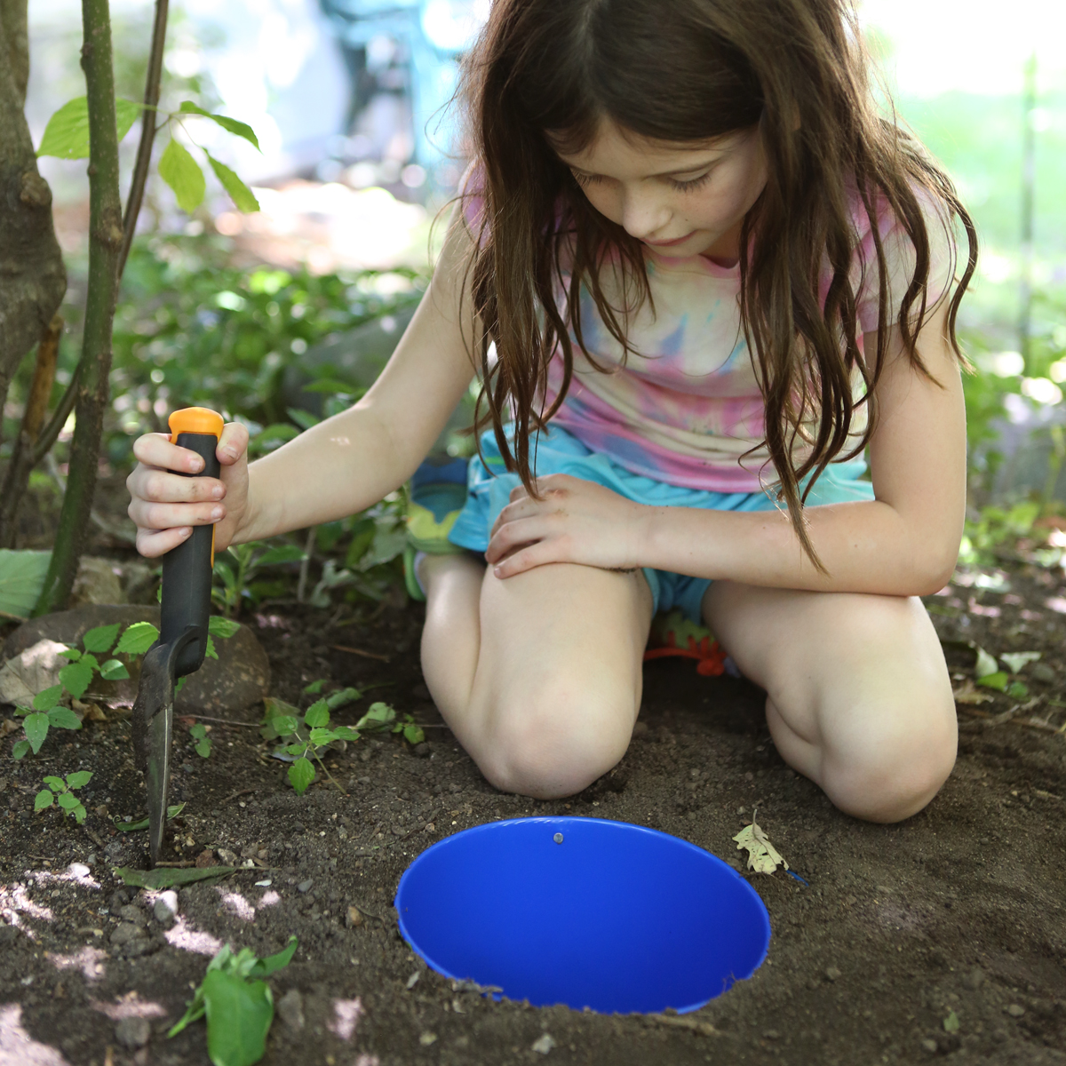 Build Protected Pitfall Traps To Observe Insects