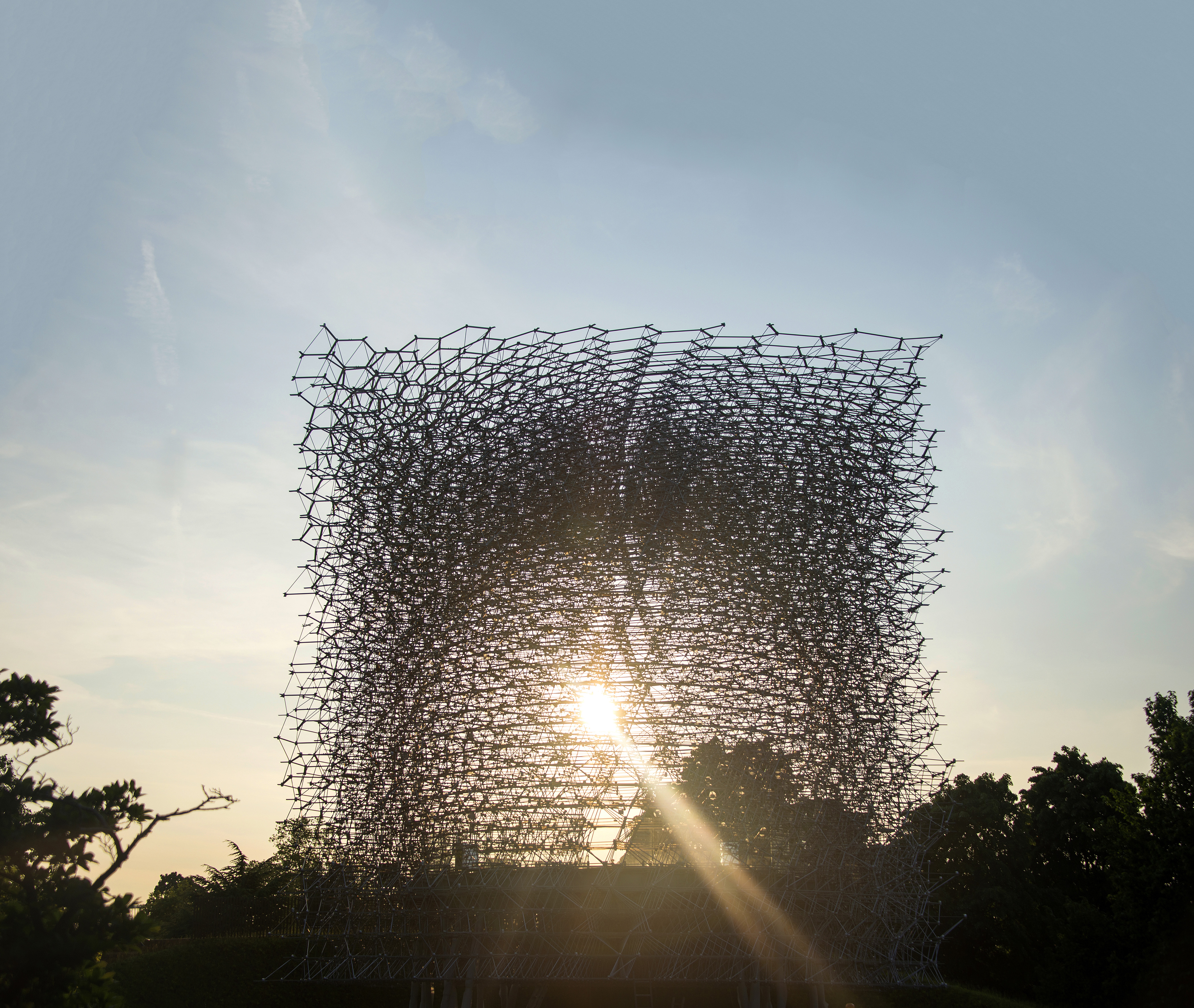 Step Into a Hive - Science Friday