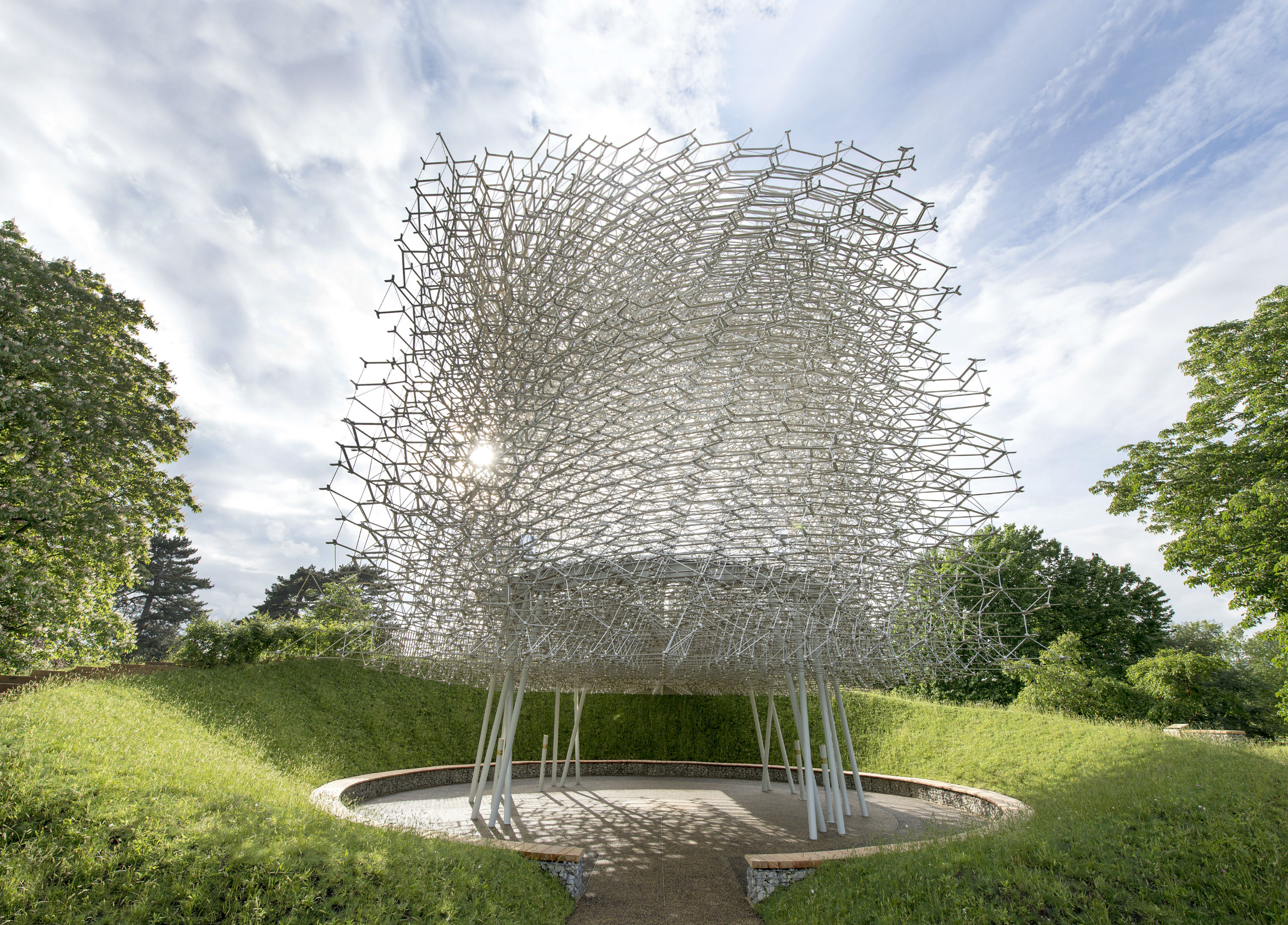 Why Are Honeycomb Cells Hexagonal?