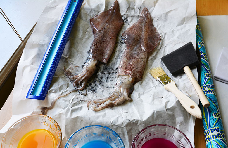 Make A Squid Print - Science Friday