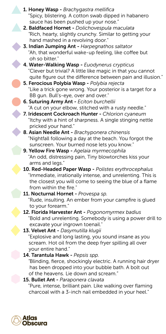 From ‘Nettles’ to ‘Volcano,’ a Pain Scale for Insect Stings - Science ...
