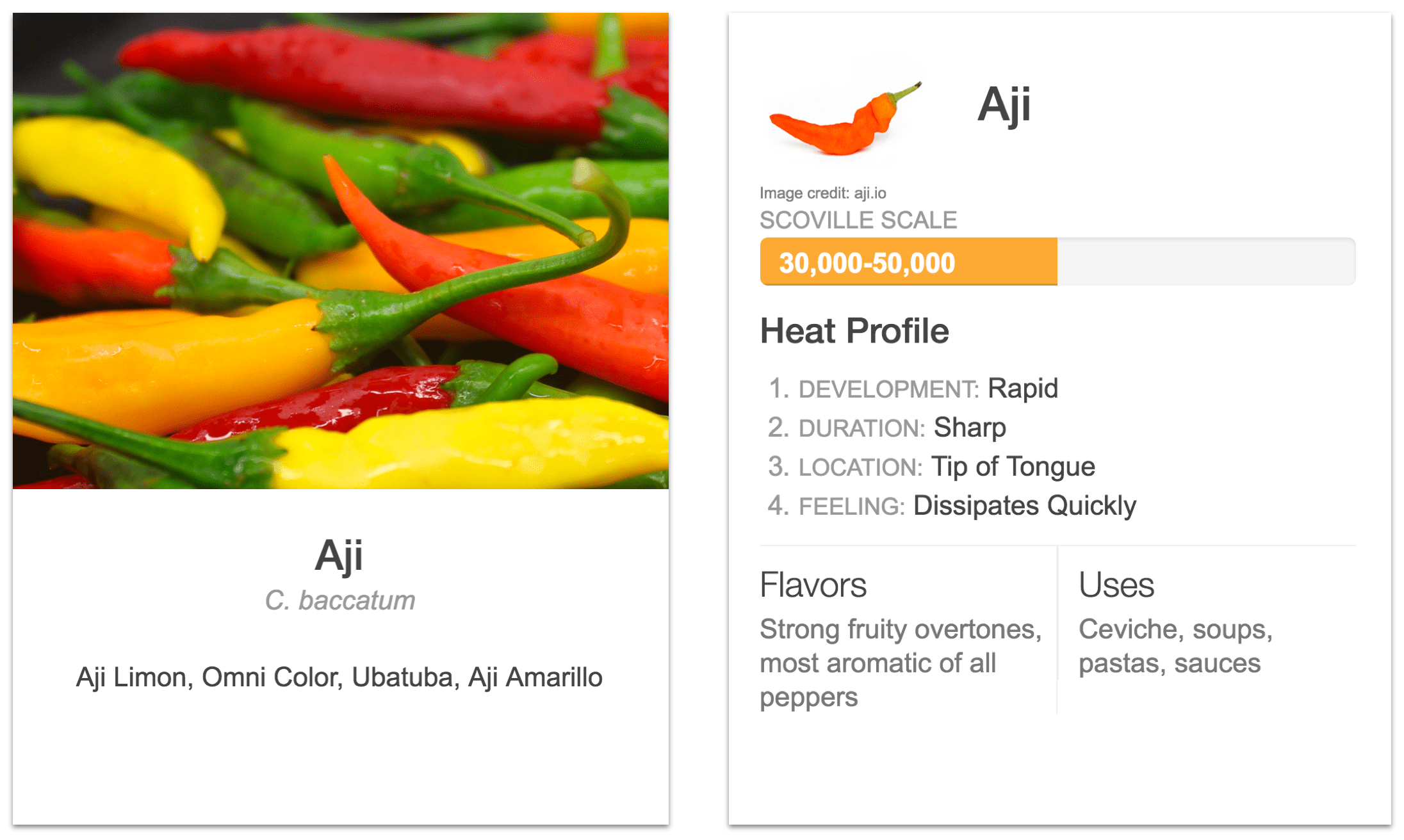 The Spicy Science of Chili Peppers