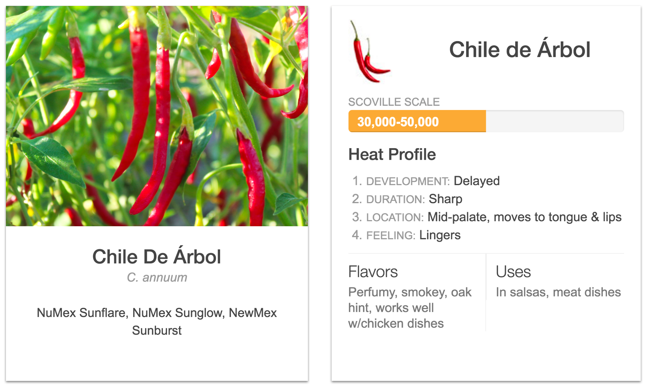 The Spicy Science of Chili Peppers