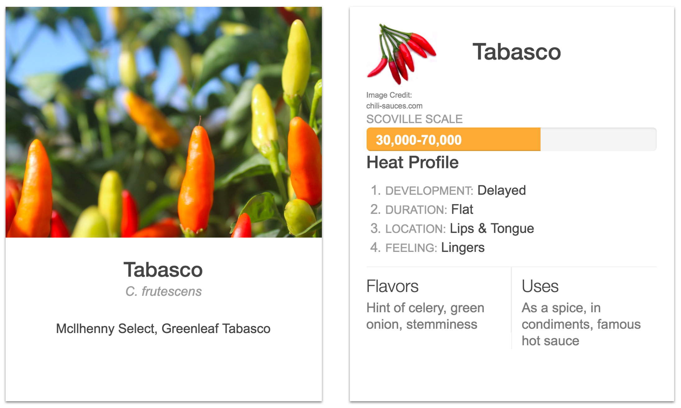 The Spicy Science of Chili Peppers