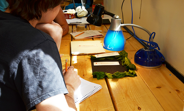 The Albedo Effect, Urban Heat Islands, and Cooling Down Your Playground ...