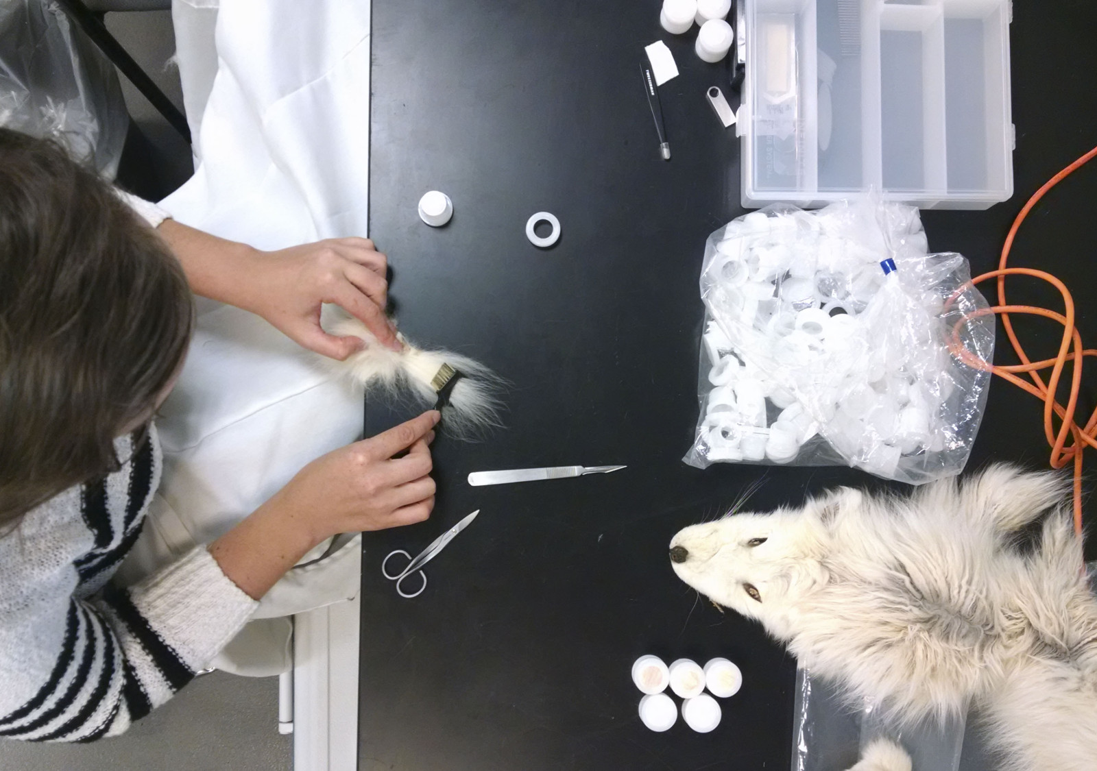 Bringing Color Back To The Dead