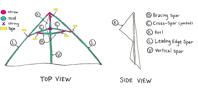 Make a Kite With Physics - Science Friday