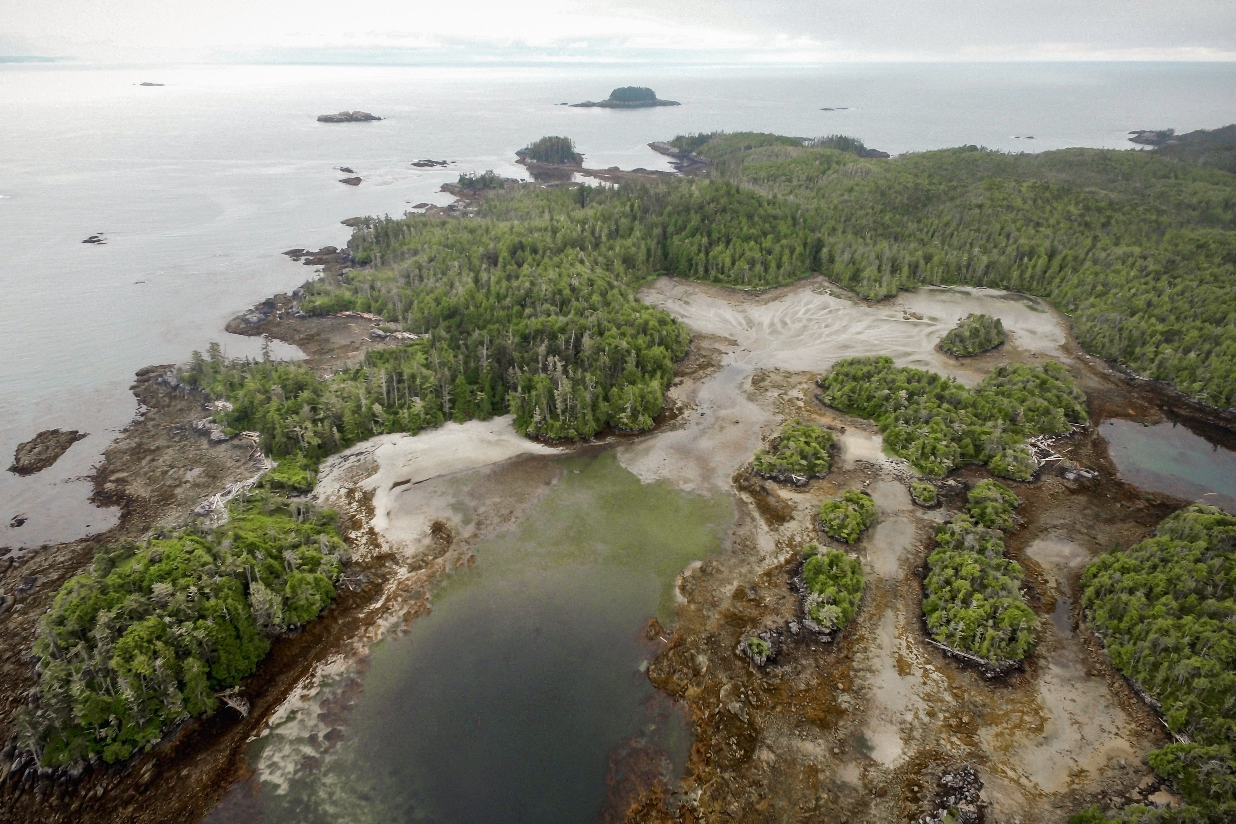 A 14,000 Year-Old Discovery Emerges From Oral History - Science Friday