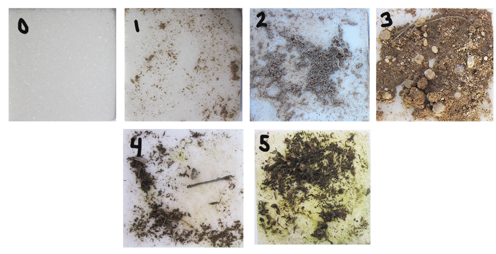 Life Under a Rock: Bacteria in Extreme Environments - Science Friday