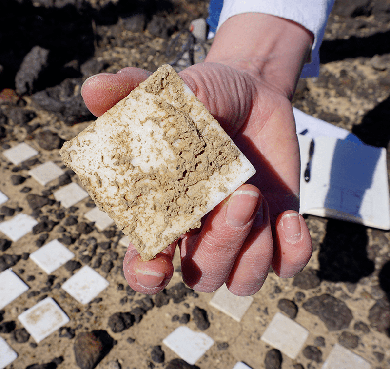 Life Under a Rock: Bacteria in Extreme Environments - Science Friday