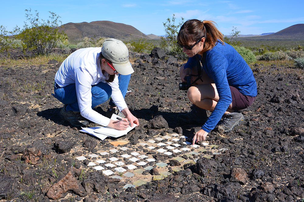 Life Under a Rock: Bacteria in Extreme Environments - Science Friday