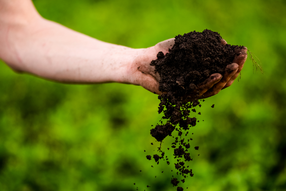 Use Your Senses To Make Sense Of Your Soil - Science Friday